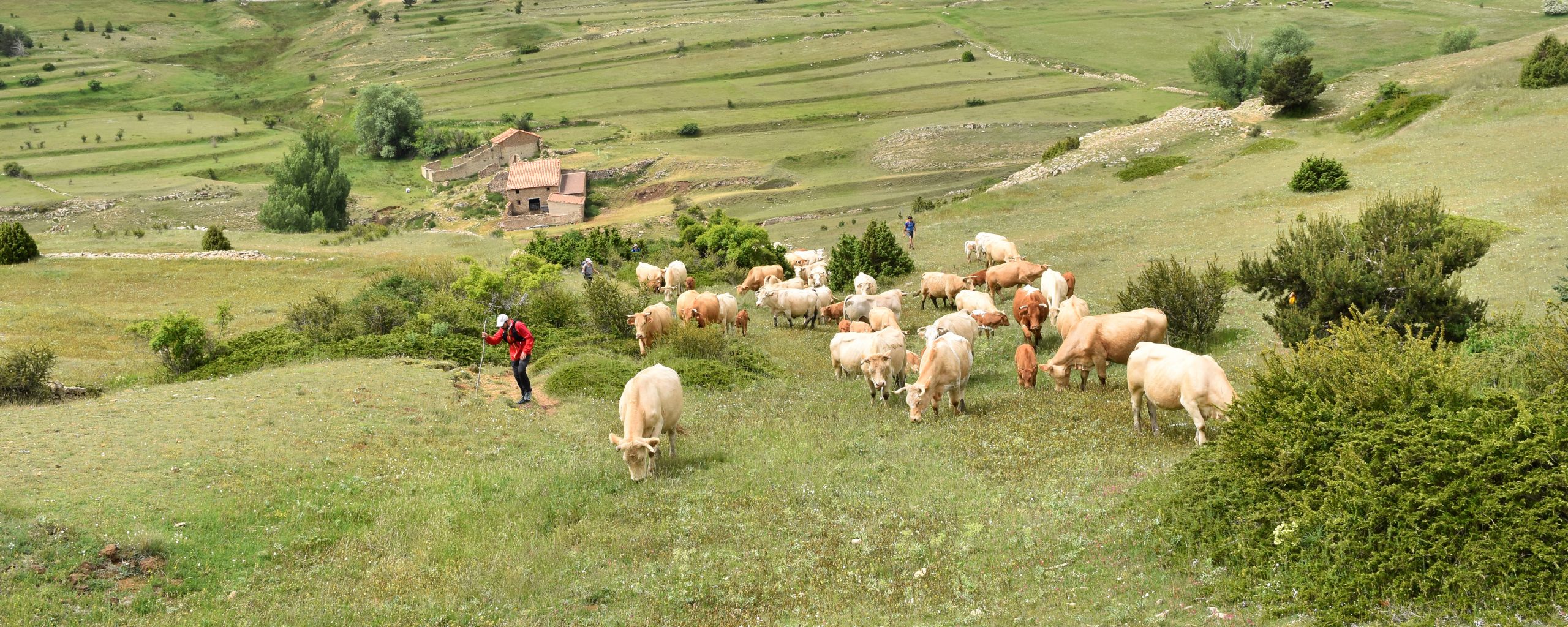 Contacto – La Albarda